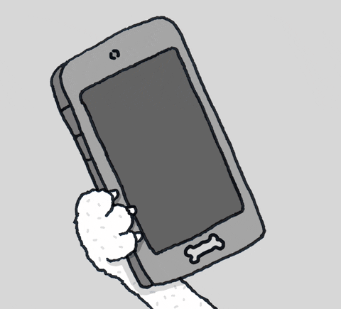 A Blessing in Disguise – Animal Communication and Intuitive Guidance